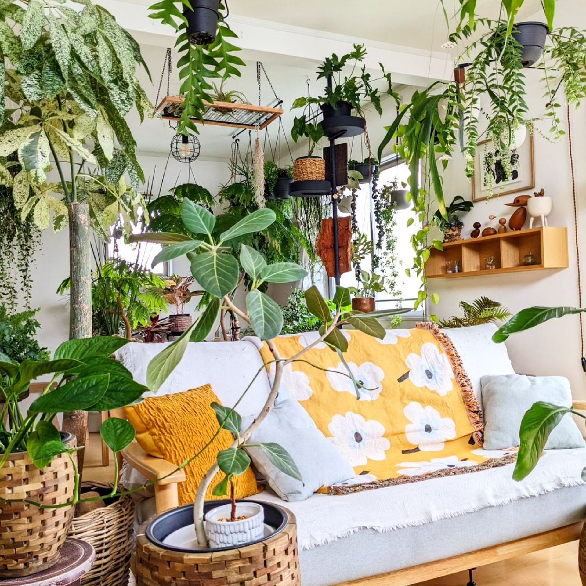 Fancy Lama ｜ 海外インテリアショップ